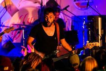 Home | Jolly Dolphin