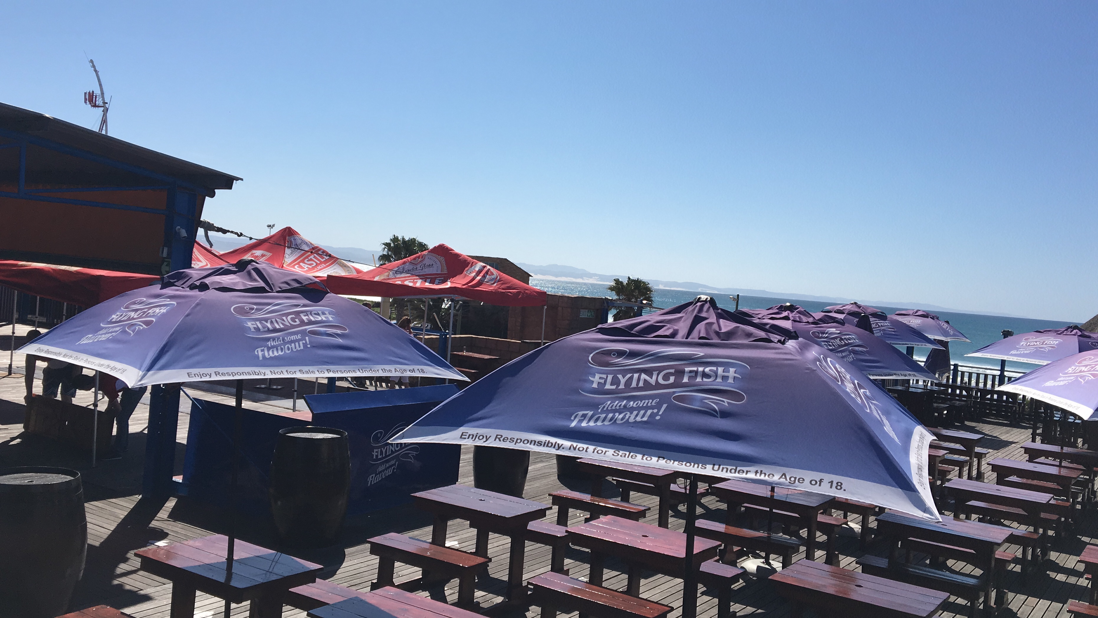 Home | Jolly Dolphin